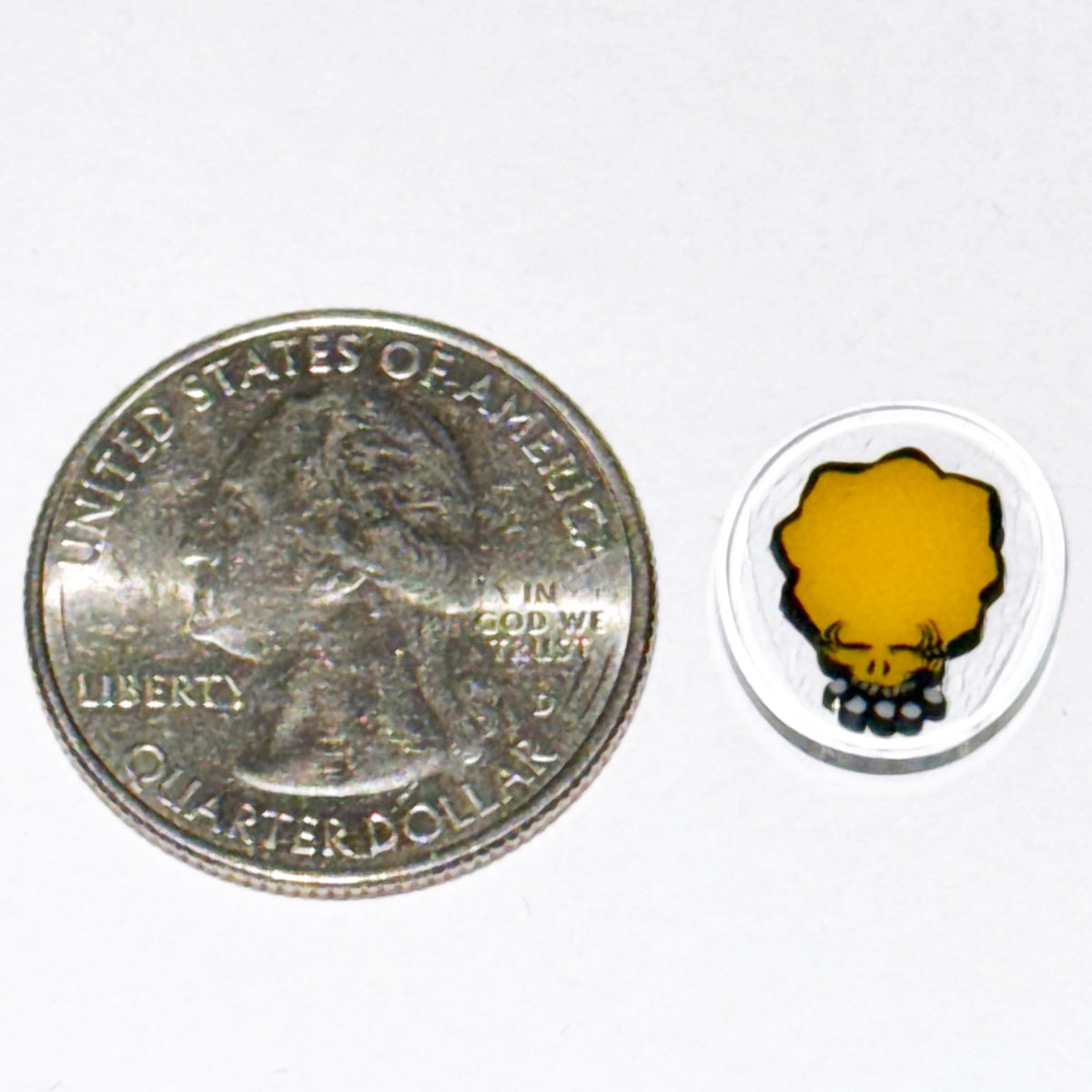 Malachi Wilkinson Grateful Lisa Simpson Coin – Mille Mafia